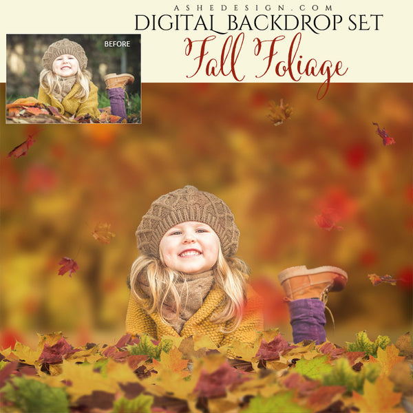 Ashe Design | Photoshop Template | Digital Backdrop Set | Fall Foliage – AsheDesign