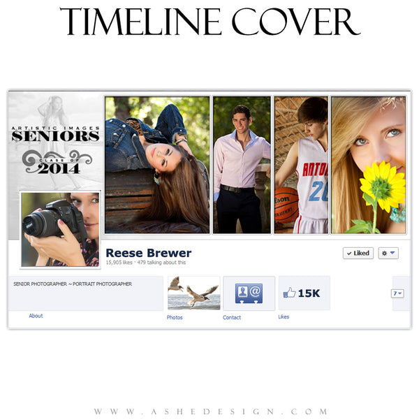 Ashe Design Timelines | Simply Stated – AsheDesign