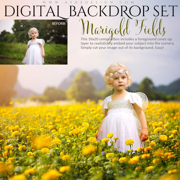 Ashe Design | Digital Backdrop Set | Marigold Fields – AsheDesign