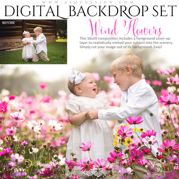 Ashe Design | Digital Backdrop Set | Wind Flowers – AsheDesign