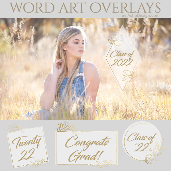 Word Art Overlays | Gold Leaf Grad Editable – AsheDesign
