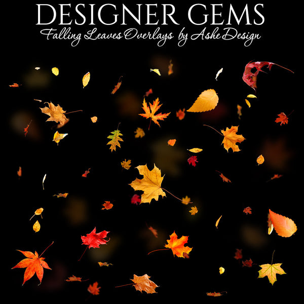 Designer Gems Photo Overlays | Falling Leaves – AsheDesign