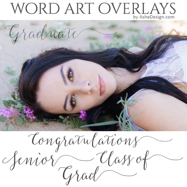 Word Art Overlays | The Graduate – AsheDesign