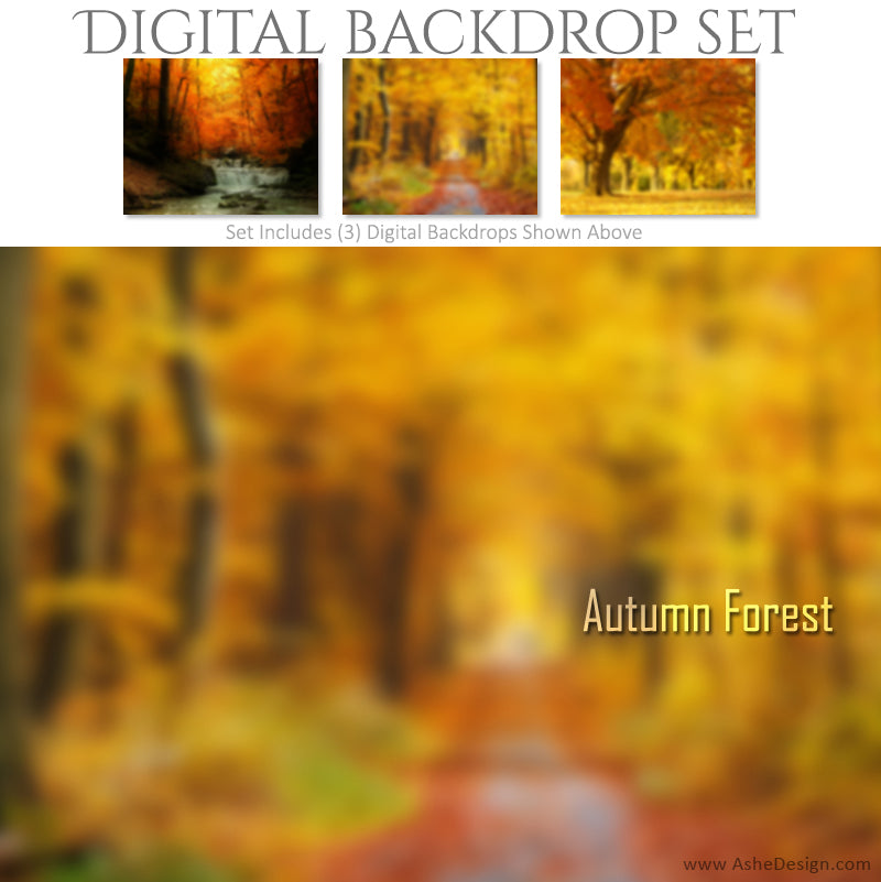 Digital Backdrop Set - Autumn Forest – AsheDesign