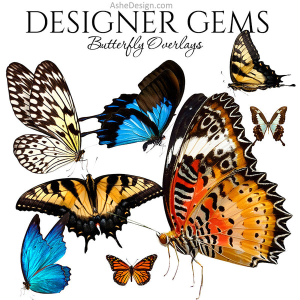 Designer Gems - Butterfly Overlays – AsheDesign