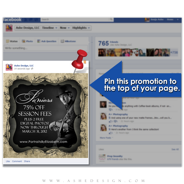 Timeline Promo Pin | Timeless Beauty – AsheDesign