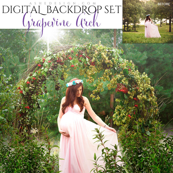 Ashe Design | Photoshop Template | Digital Backdrop Set | Grapevine ...
