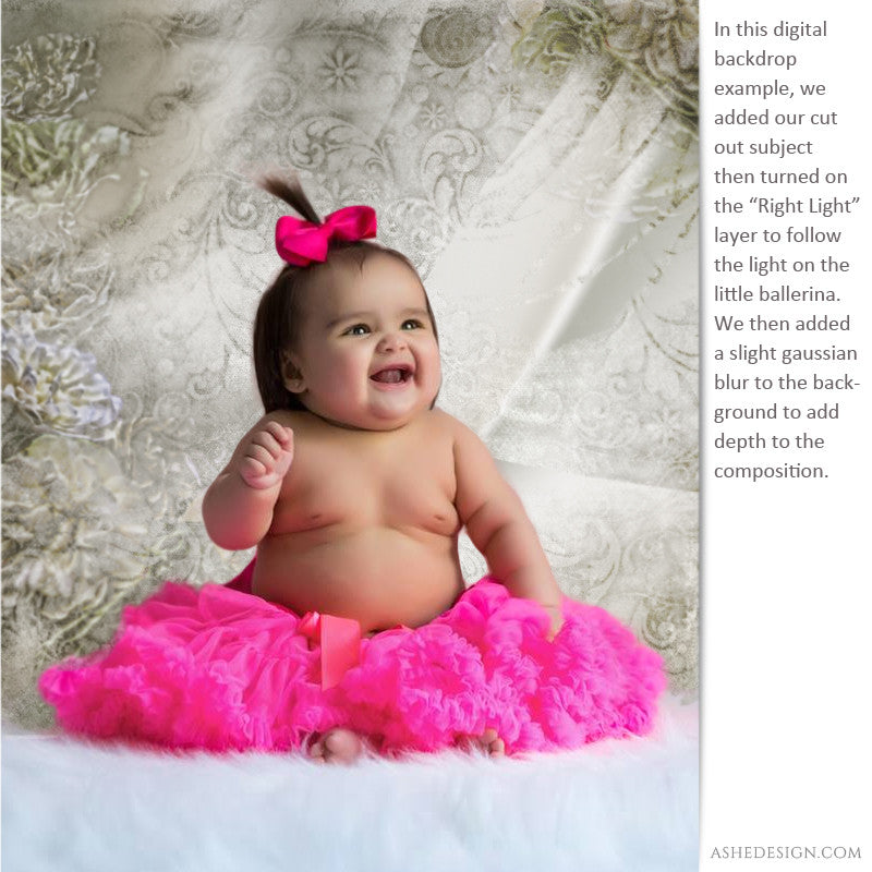 Brussels - Digital Props - Backdrops – AsheDesign