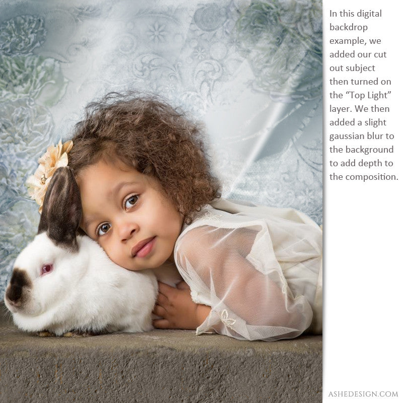 Brussels - Digital Props - Backdrops – AsheDesign
