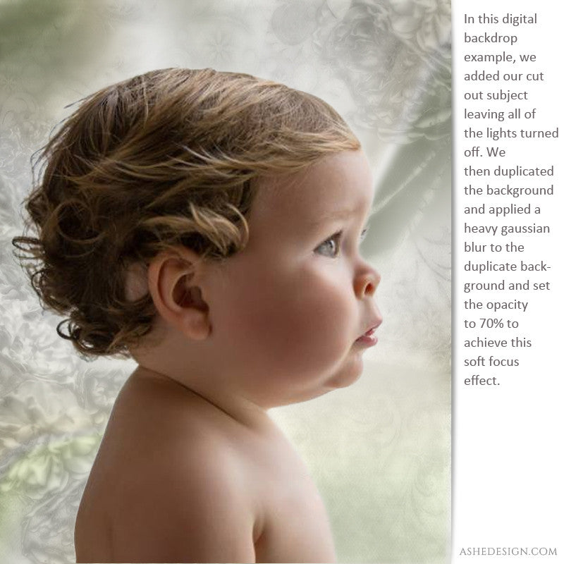 Brussels - Digital Props - Backdrops – AsheDesign